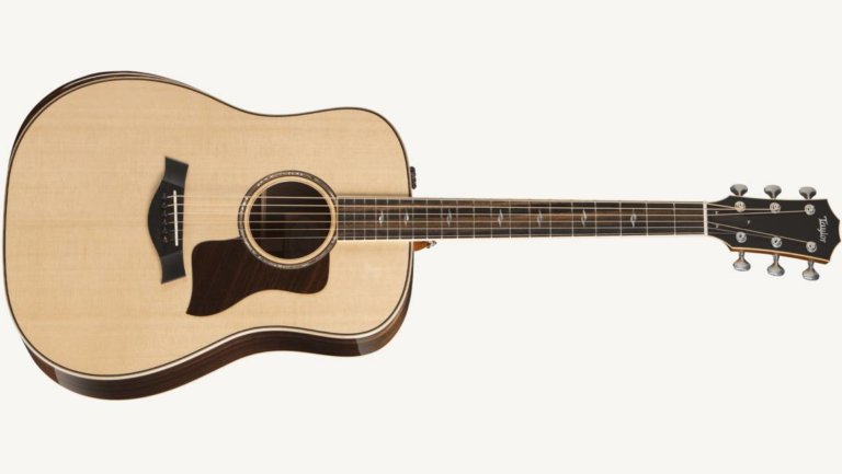 Taylor 810e DLX Review | Performer Mag